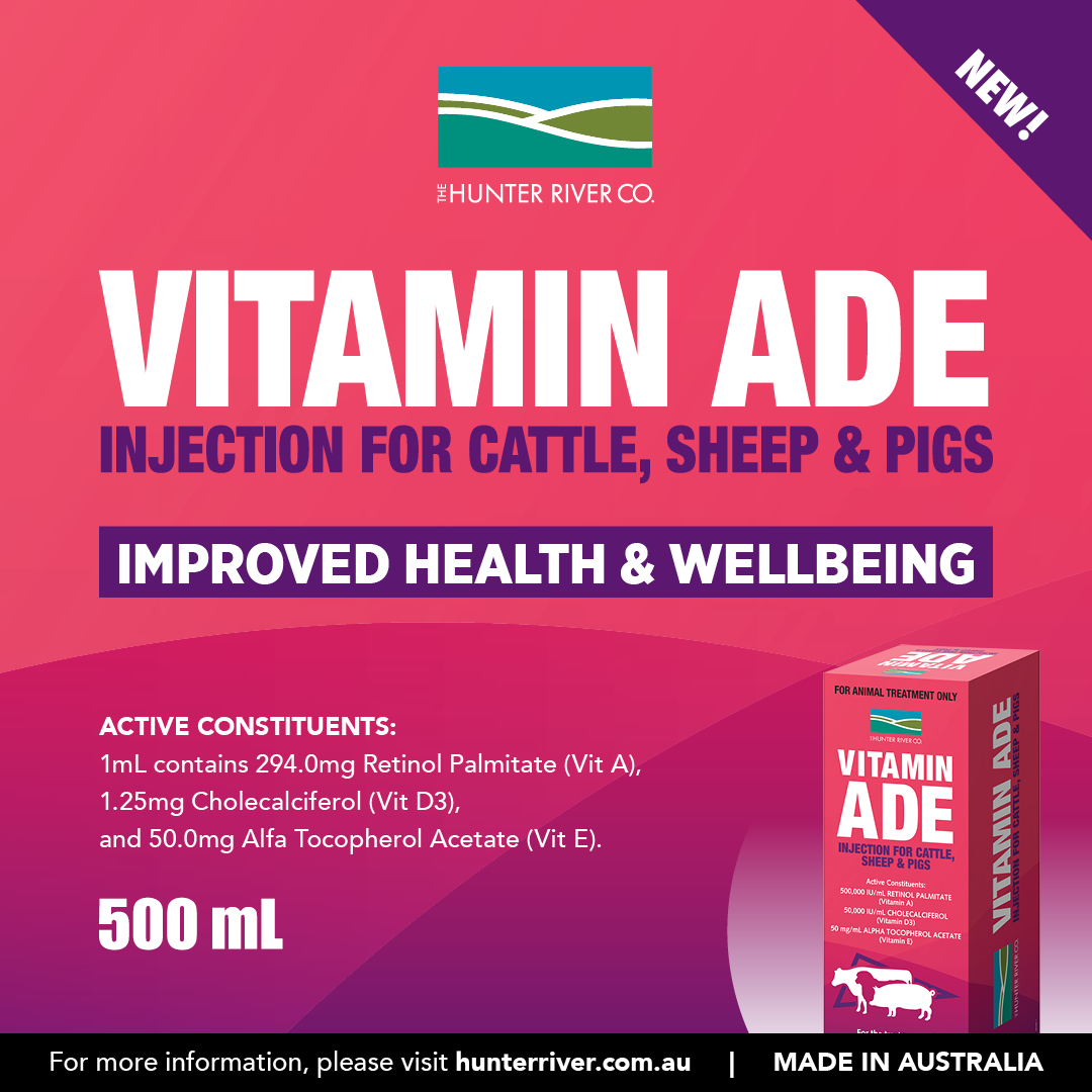 VITAMIN ADE INJECTION FOR CATTLE, SHEEP & PIGS – The Hunter River Company