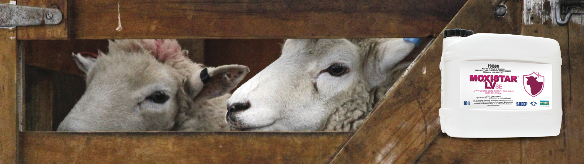 The Hunter River Company – Quality Australian Animal Health Products